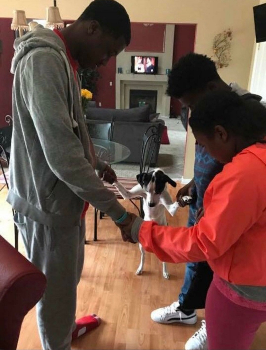 This Video of Dogs praying before eating is melting people's hearts ...