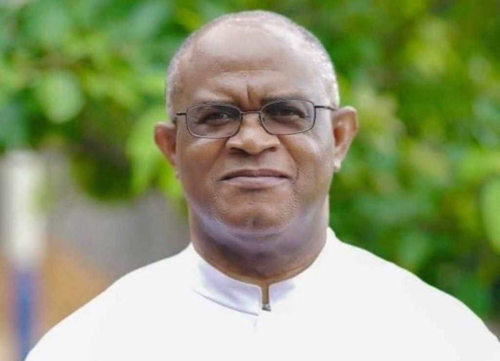 Meet Peter Obi’s lookalike Priest brother, Father Fabian Obi ...